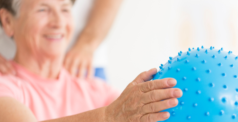 Physical Therapy Exercise for Functional Movement | NY Capital Area PT