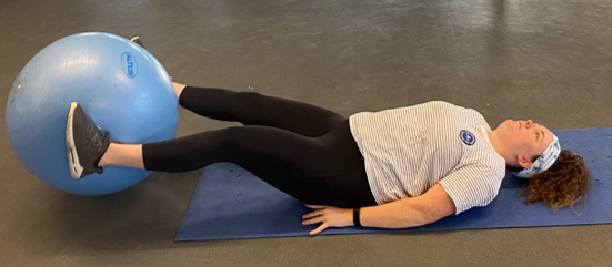 10 Exercises To Do At Home With An Exercise Ball | Capital Area PT
